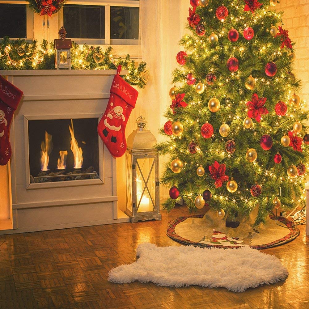 SHIQI-Christmas Light Set, 100 LED Clear Mini Lights String Outdoor ...