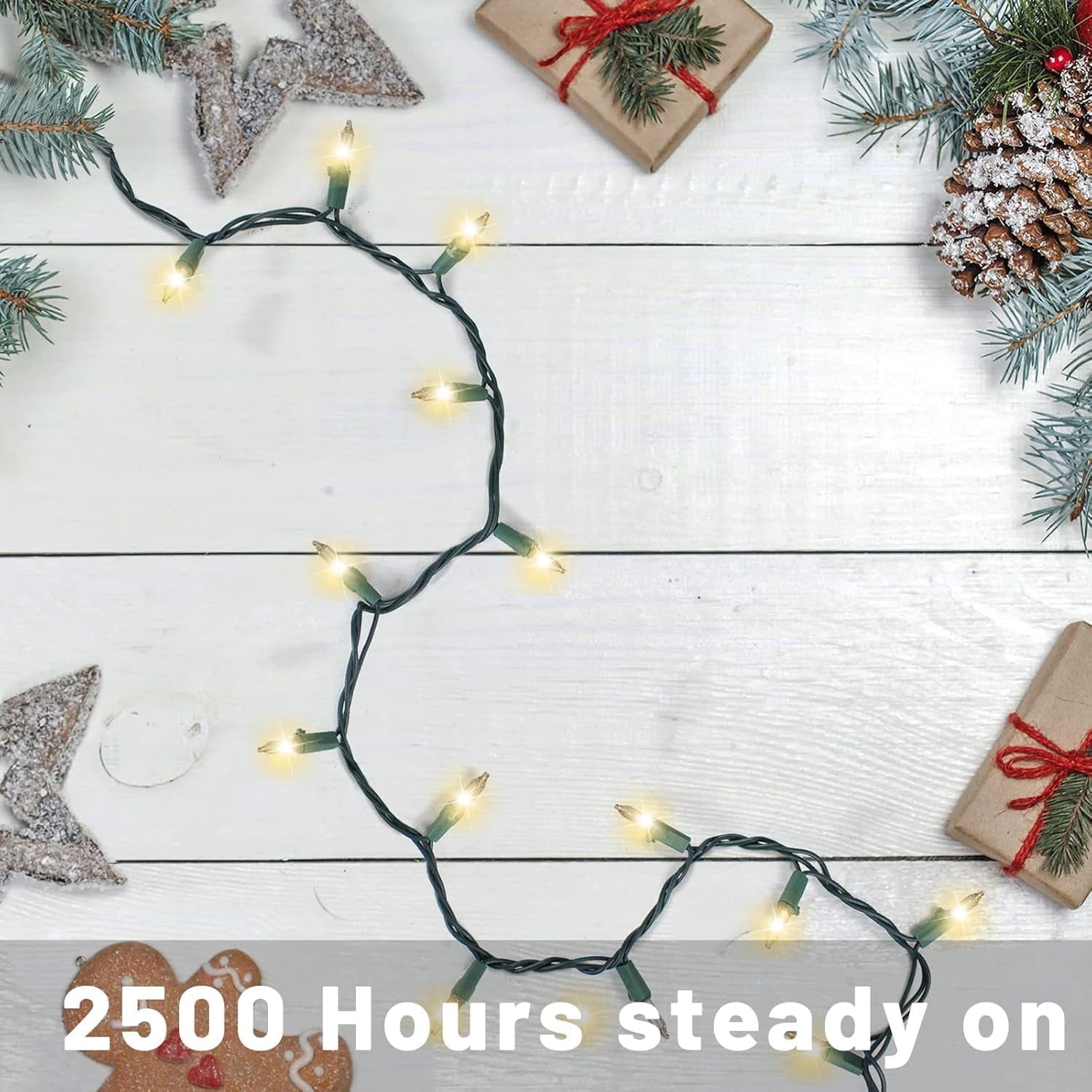 SHIQI-Christmas Lights for Tree 40Ft 200 Count Mini Lights Green Wire ...