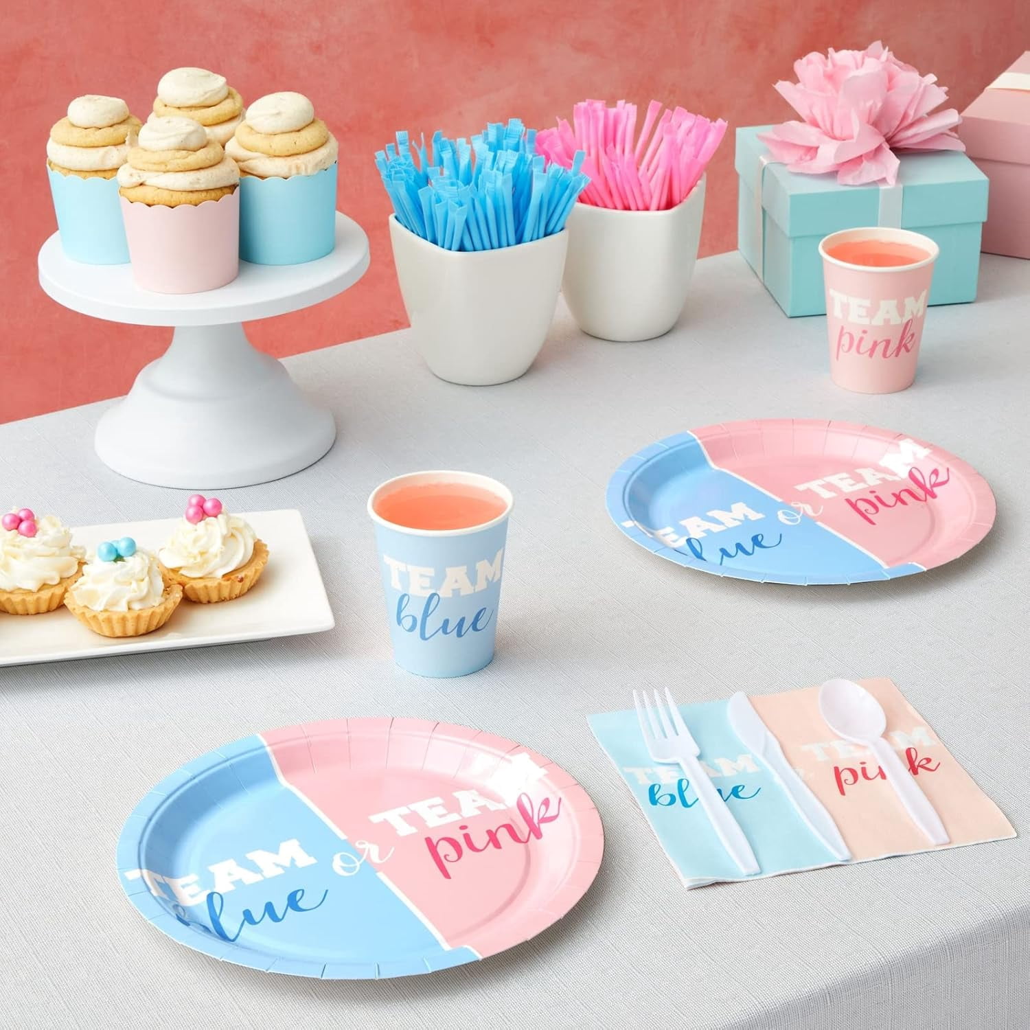 SHIQI-Paper Gender Reveal Tableware Set - Team Boy & Team Girl ...