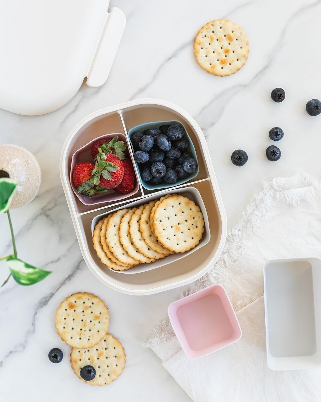 SHIQI-Reusable Silicone Bento Baking Cups, Non-Toxic, BPA Free ...