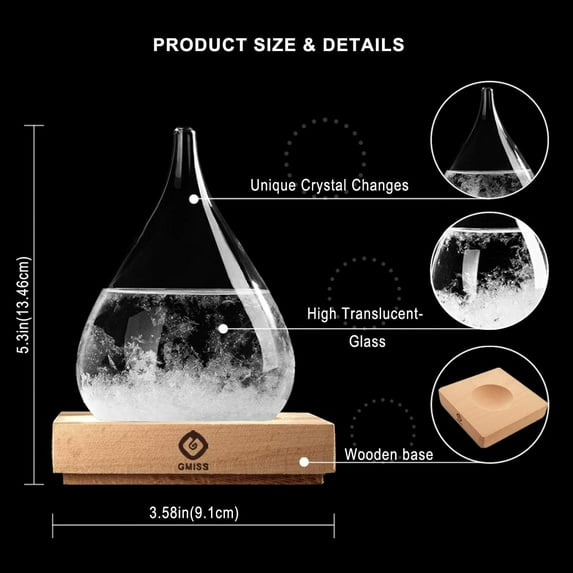 SHIQI-Storm Glass Weather Predictor,Christmas Snow Globe Storm Glass ...
