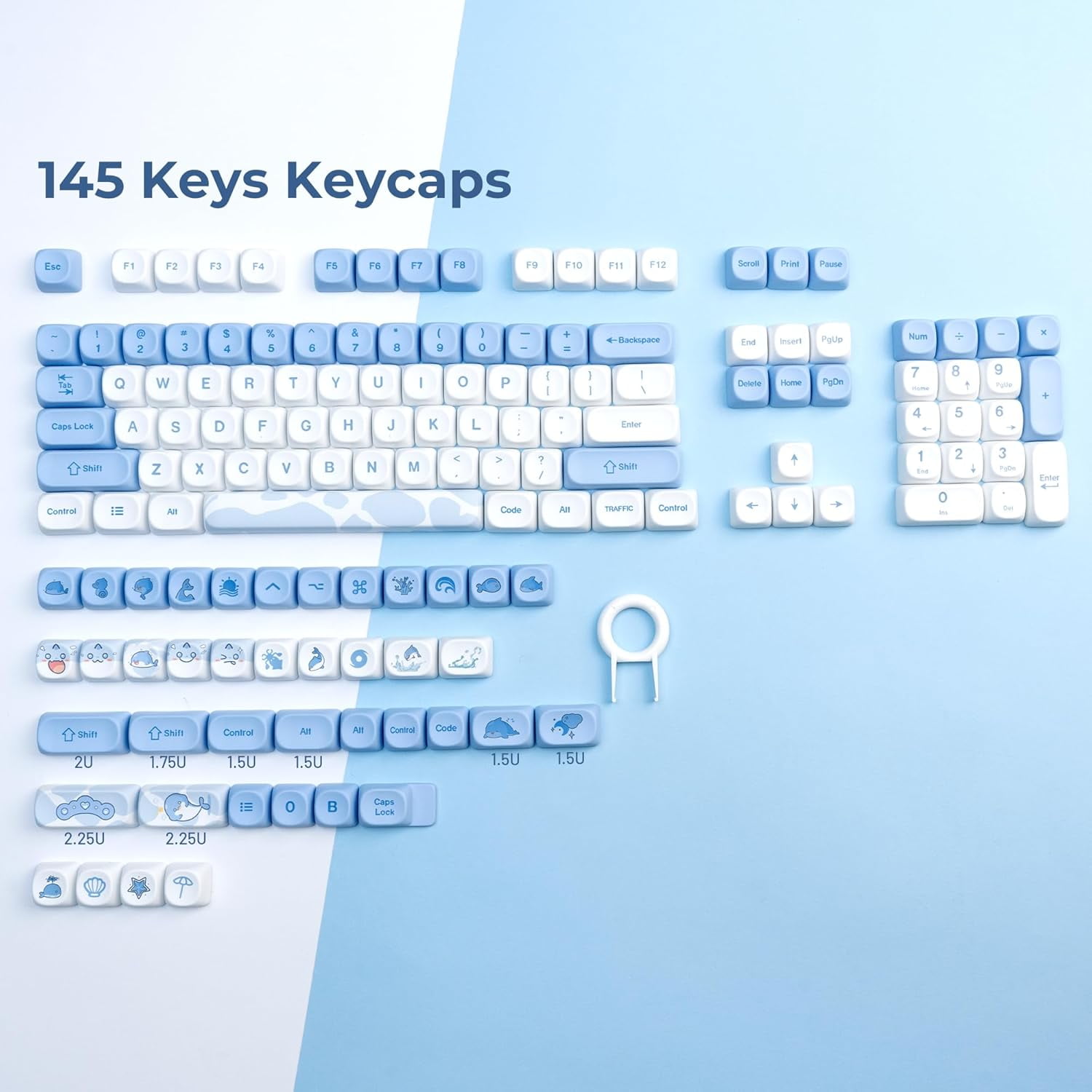 SHIQI-XVX Dolphin Theme PBT Dye-Sub Keycaps Set, 145-Key Blue Custom ...