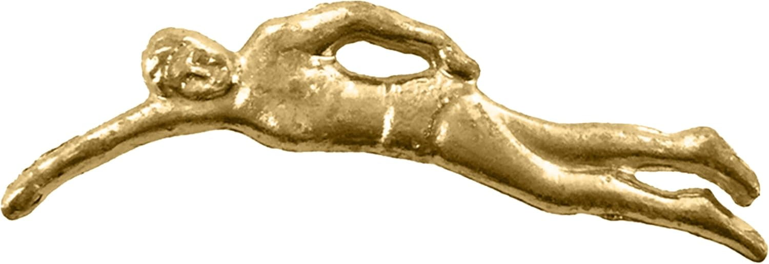 SHOP AWARDS AND GIFTS Gold Chenille Lapel Pins for Student Recognition ...