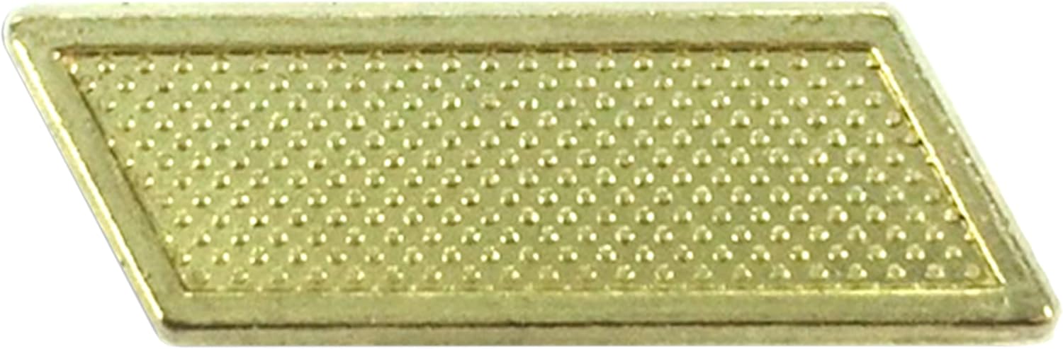 SHOP AWARDS AND GIFTS Gold Chenille Lapel Pins for Student Recognition ...