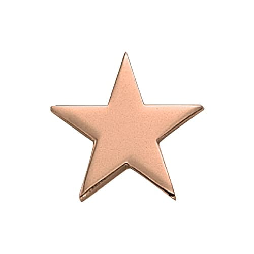 SHOP AWARDS AND GIFTS Bronze Star Metallic Lapel Pins for Students ...
