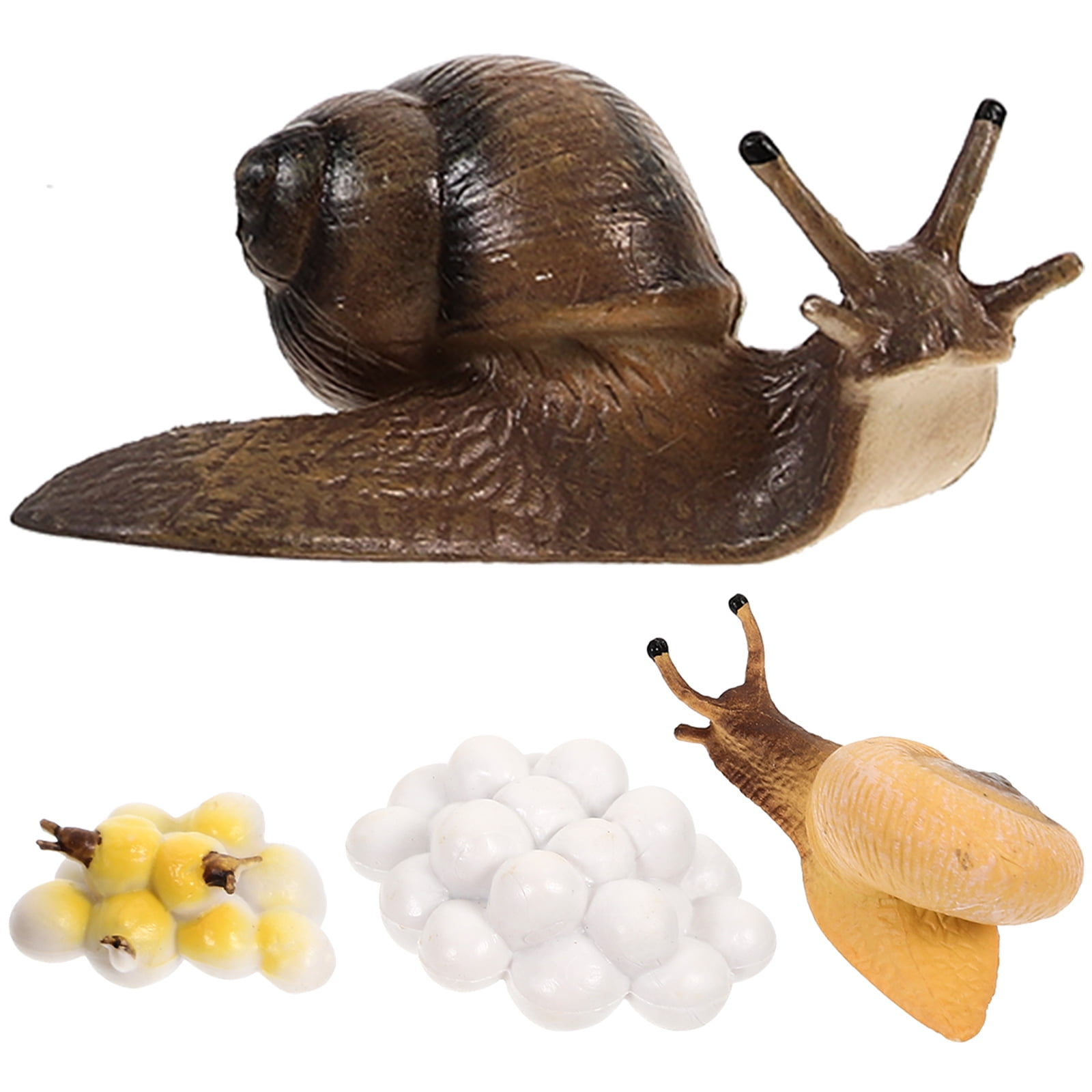 SHOWERORO 1 Set Simulation Snail Toys Miniature Snail Growth Model ...