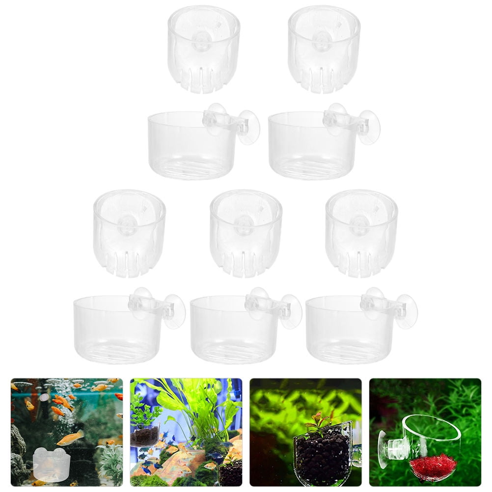 SHOWERORO 10Pcs Aquarium Plant Holders Clear Acrylic for Fish Tank ...