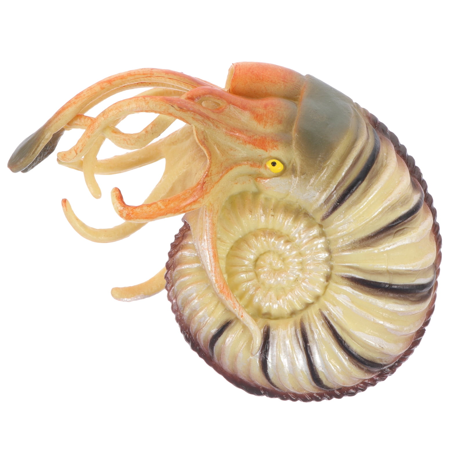 SHOWERORO T15381 Nautilus Model 1Pack Nautilus Figurine for Home ...