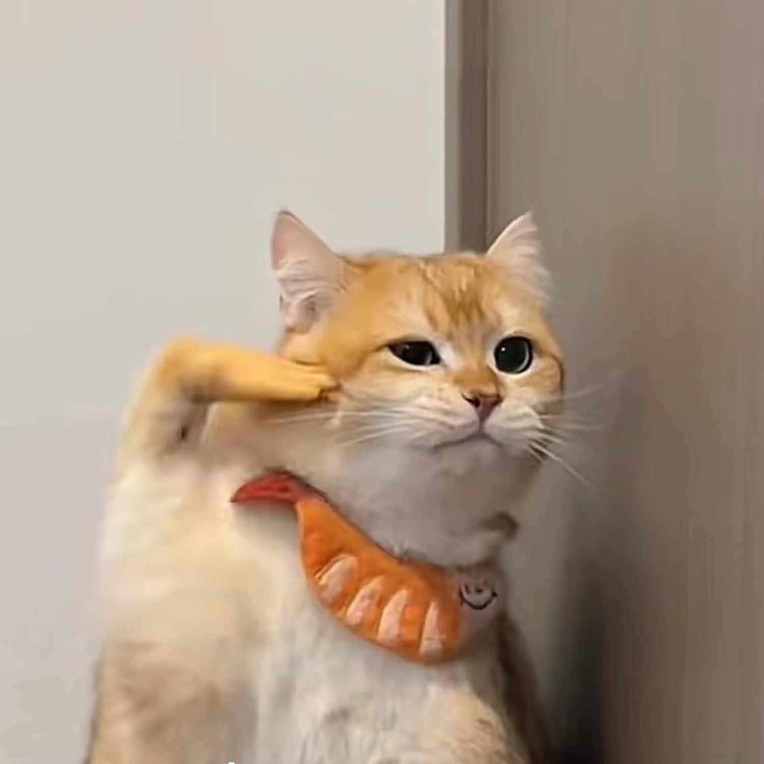 SHZHHFKJCX Engaging 2024 Edition Mini Finger Cat Toy - Adorable Fun and ...