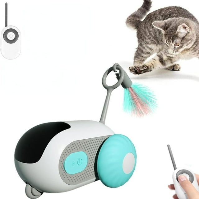 Shzhlaifuzb Elevate Your Cat‘s Playtime Experience With This Innovative