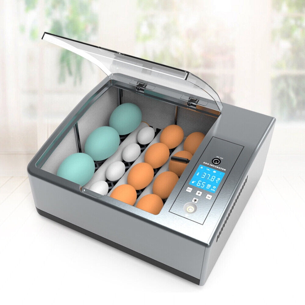 Customer reviews for SHZICMY 16 Eggs Incubator Digital Household ...