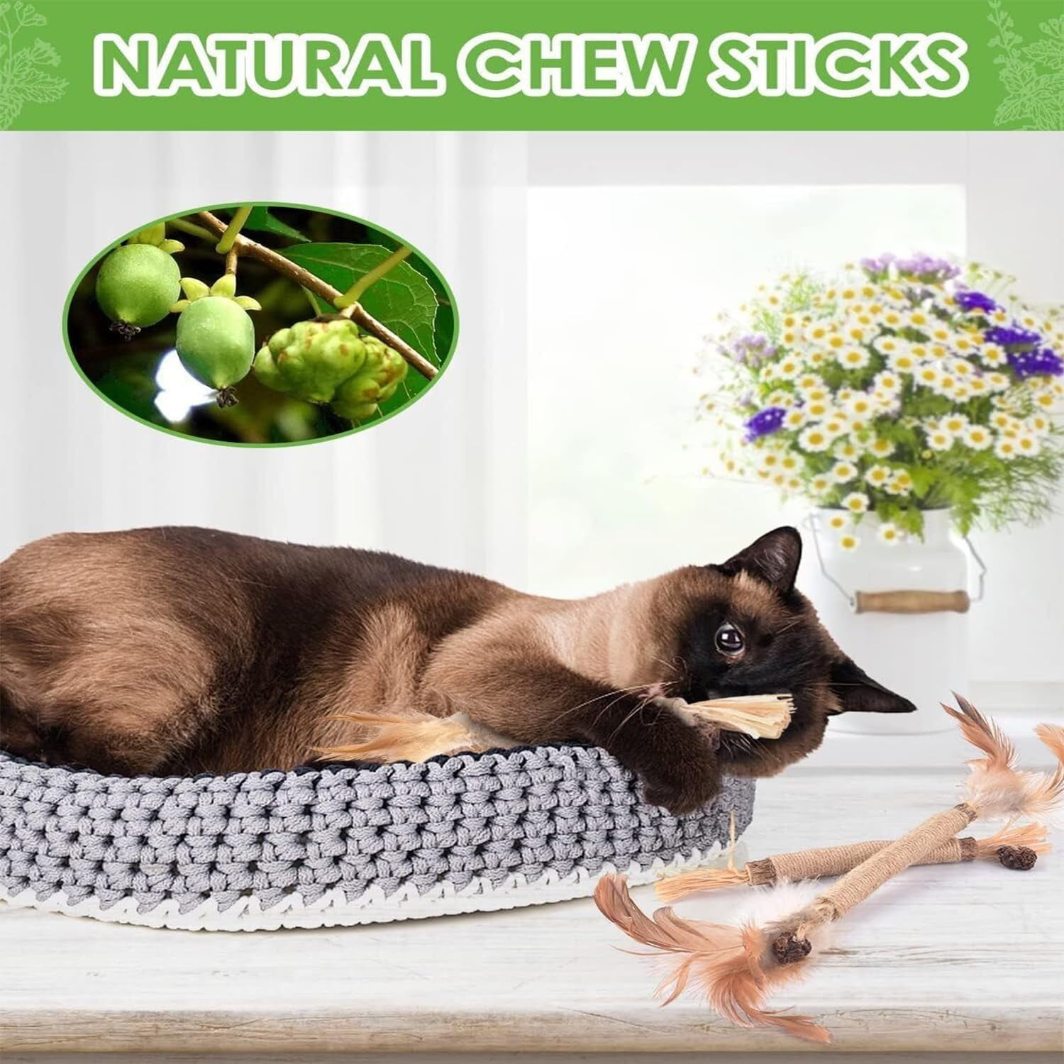 SHZNSJWDKJ Fresh Breath Cat Chew Stick for Cats - Nunapets Natural ...