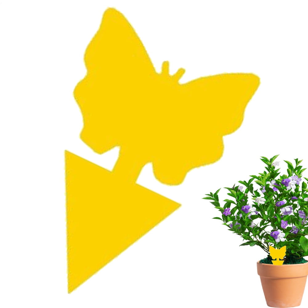 SHZONS Fruit Fly Sticky Traps Yellow Sticky Fly Traps No Harm Odorless ...