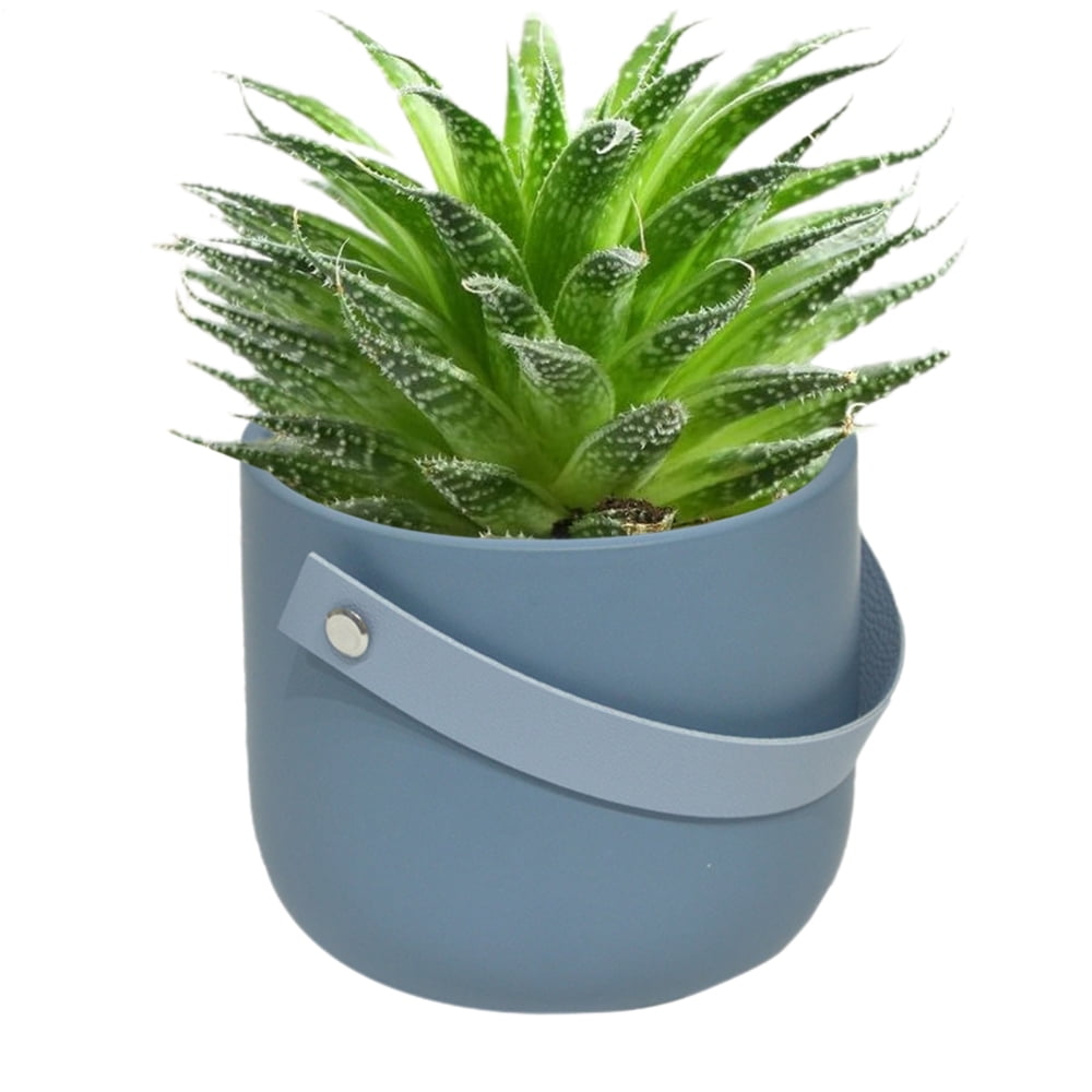 SHZONS Indoor Planter Pots Indoor Ceramic Plant Pot Fine Grinding ...