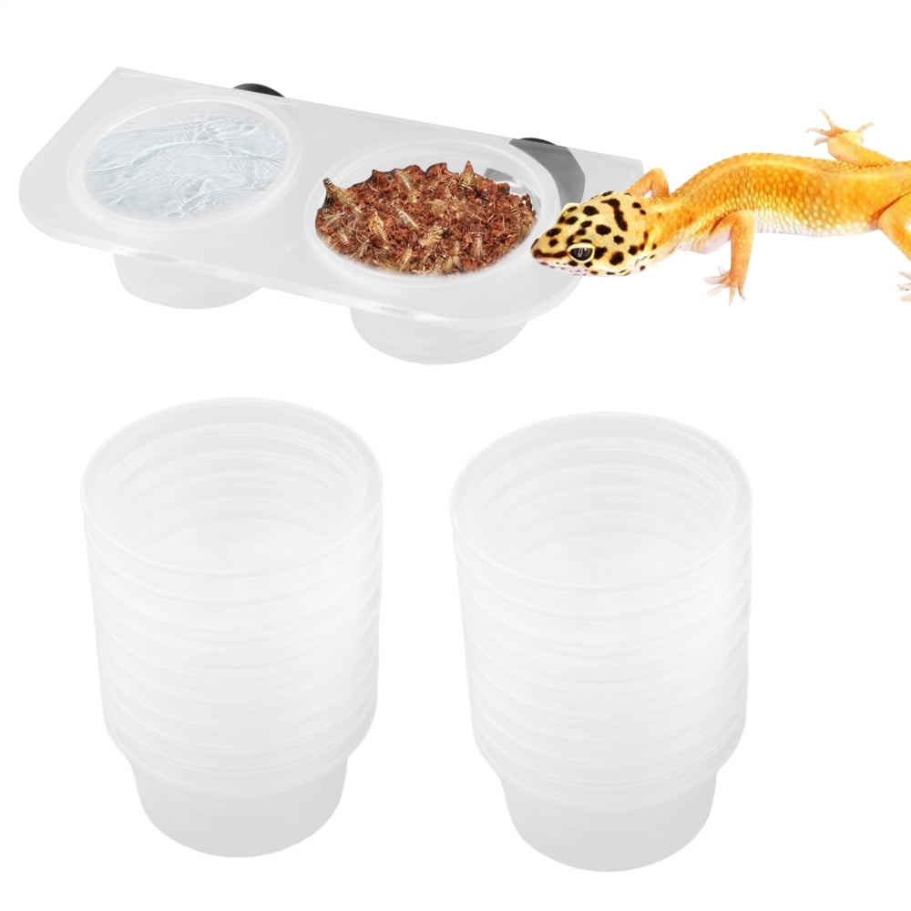 SHZONS Reptile Feeder Reptile Feeding Box Snake Water Keeper Easy-Clean ...