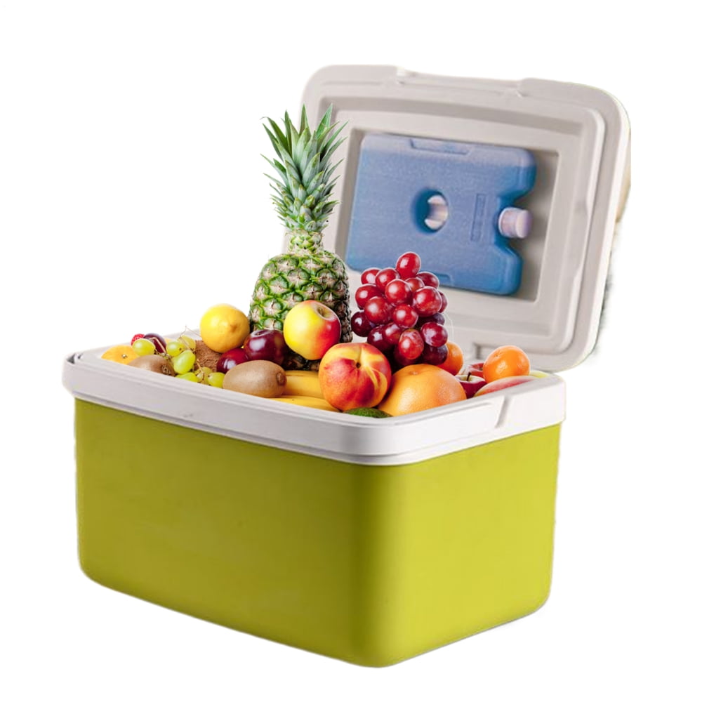 SHZONS Travel Cooler Box Cooler Bags Insulated For Travel Thermal ...