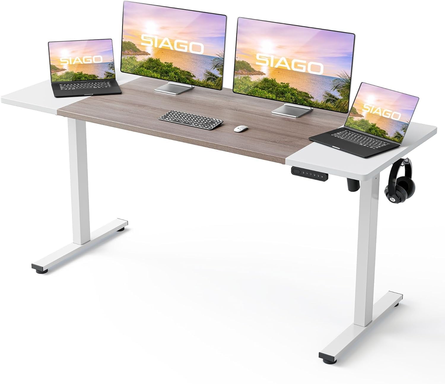 SIAGO Electric Standing Desk Adjustable - 63 x 24 Inch Sit Stand up ...