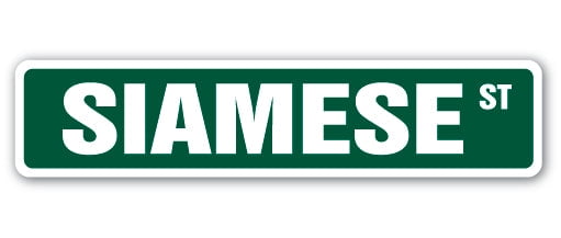 SIAMESE Street Sign cat breed feline kitty kitten | Indoor/Outdoor | 30 ...