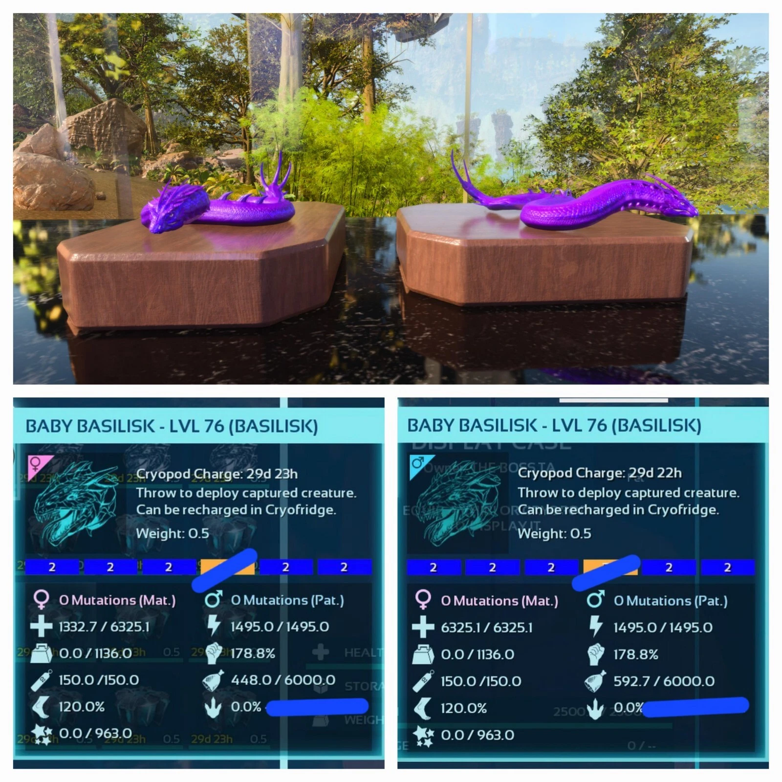 SIANA- Ark Ascended Pve Official Pair Baby Basilisk Blue Id02 Pc/Xbox ...