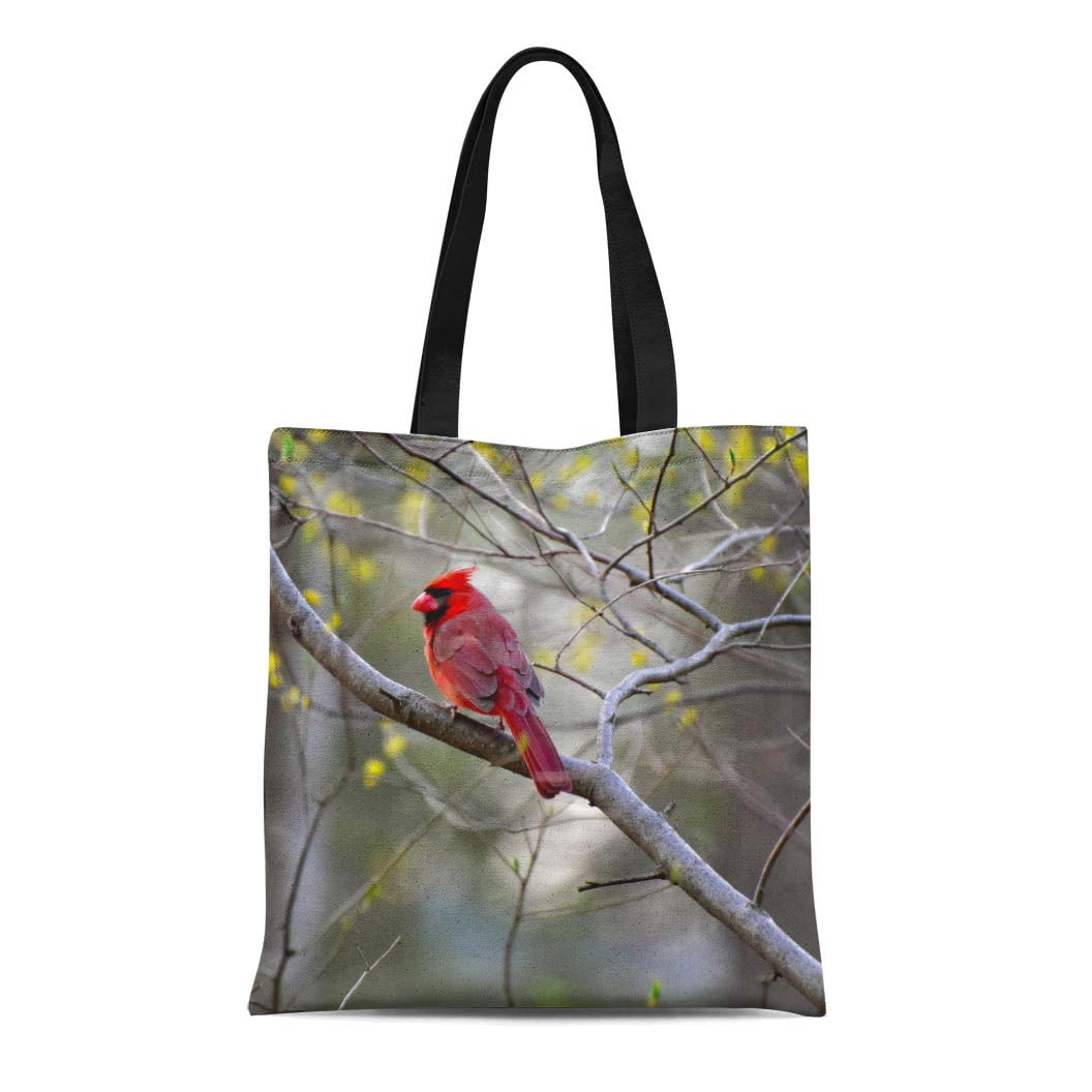 SIDONKU Canvas Tote Bag Colorful Red Robin Famous Bird From Virginia ...