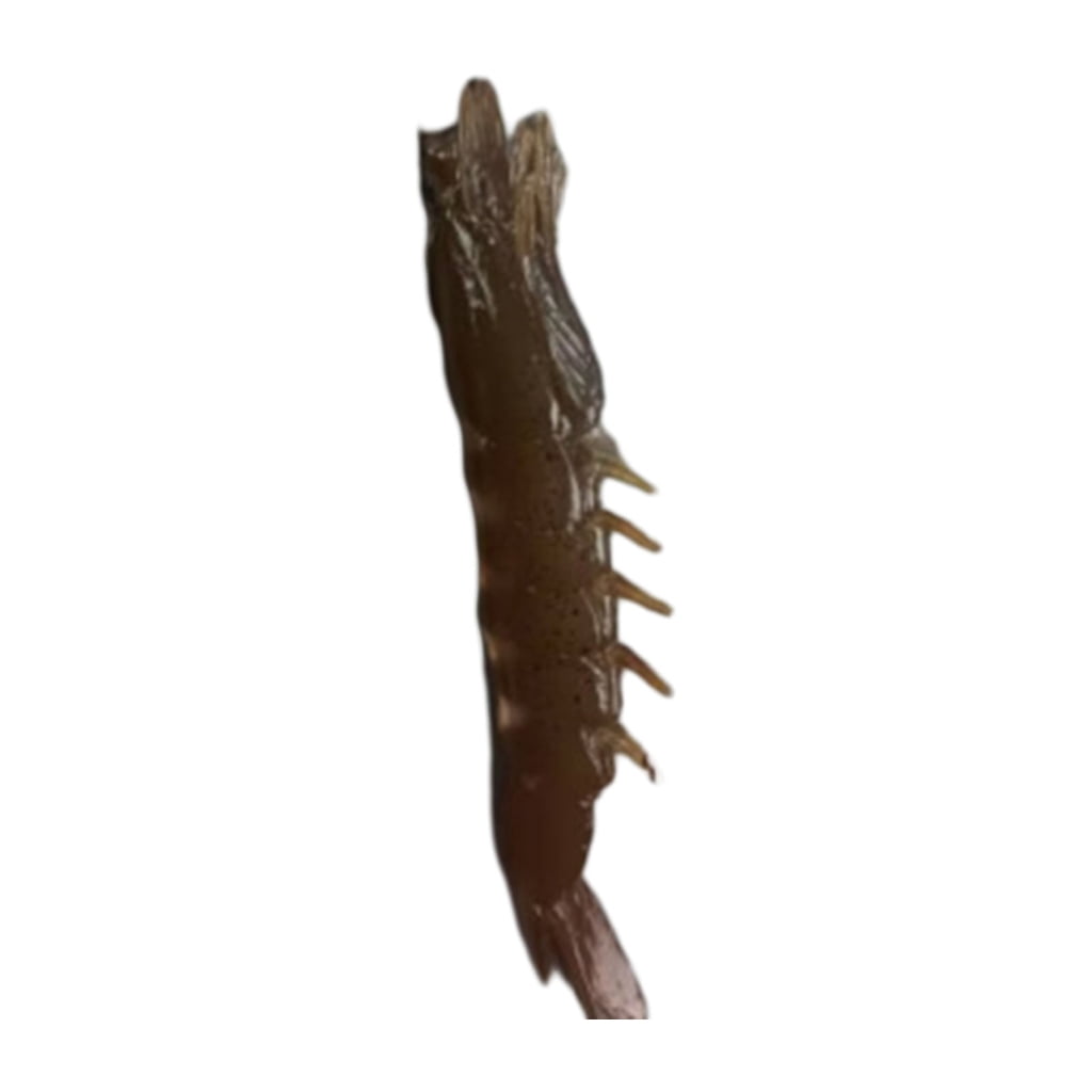 SIEYIO Artificial Shrimps Realistic Prawns Model Fake Shrimp Model Food ...