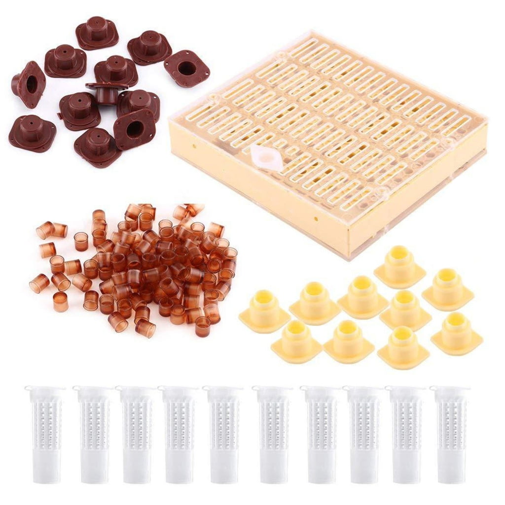 SIEYIO Bees Queen Cultivation Kits, Beekeeping Rearing Box Supplies ...