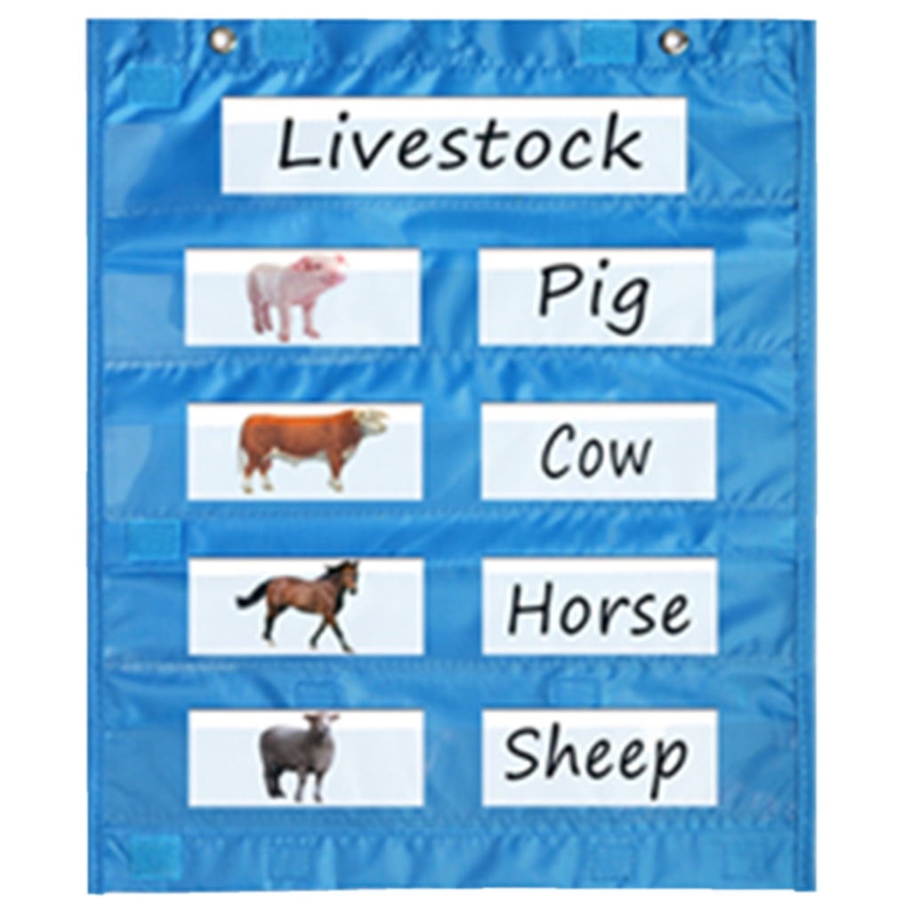 SIEYIO Classroom Magnetic Pocket Chart for Whiteboard, Double-Sided ...