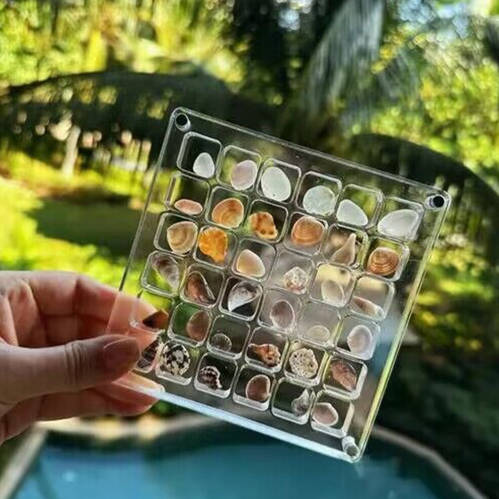 SIEYIO Unique Shell Display Holder Acrylic Presentation Box for ...