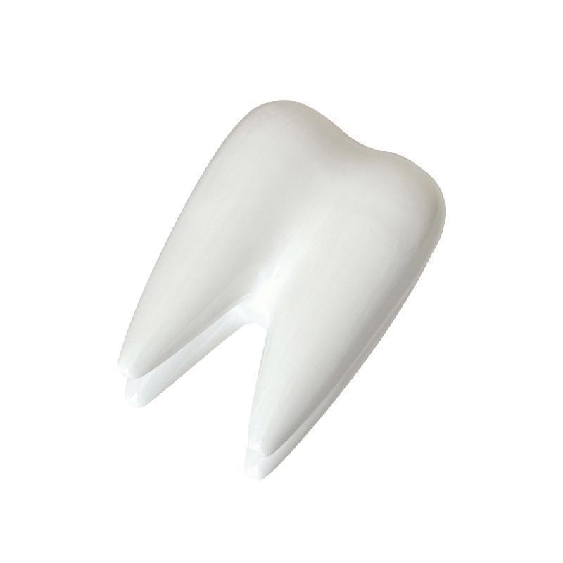 SIEYIO Unique Tooth Pen Pencil Fashion Tooth Shape Pencil Desk Ceramic ...