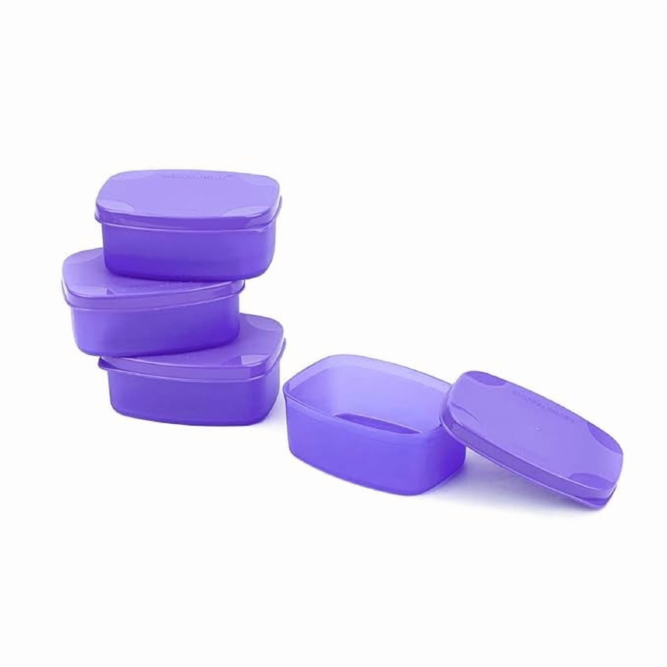 SIGNORA WARE Tiny Wonder BPA Free Plastic Storage Containers | Airtight ...