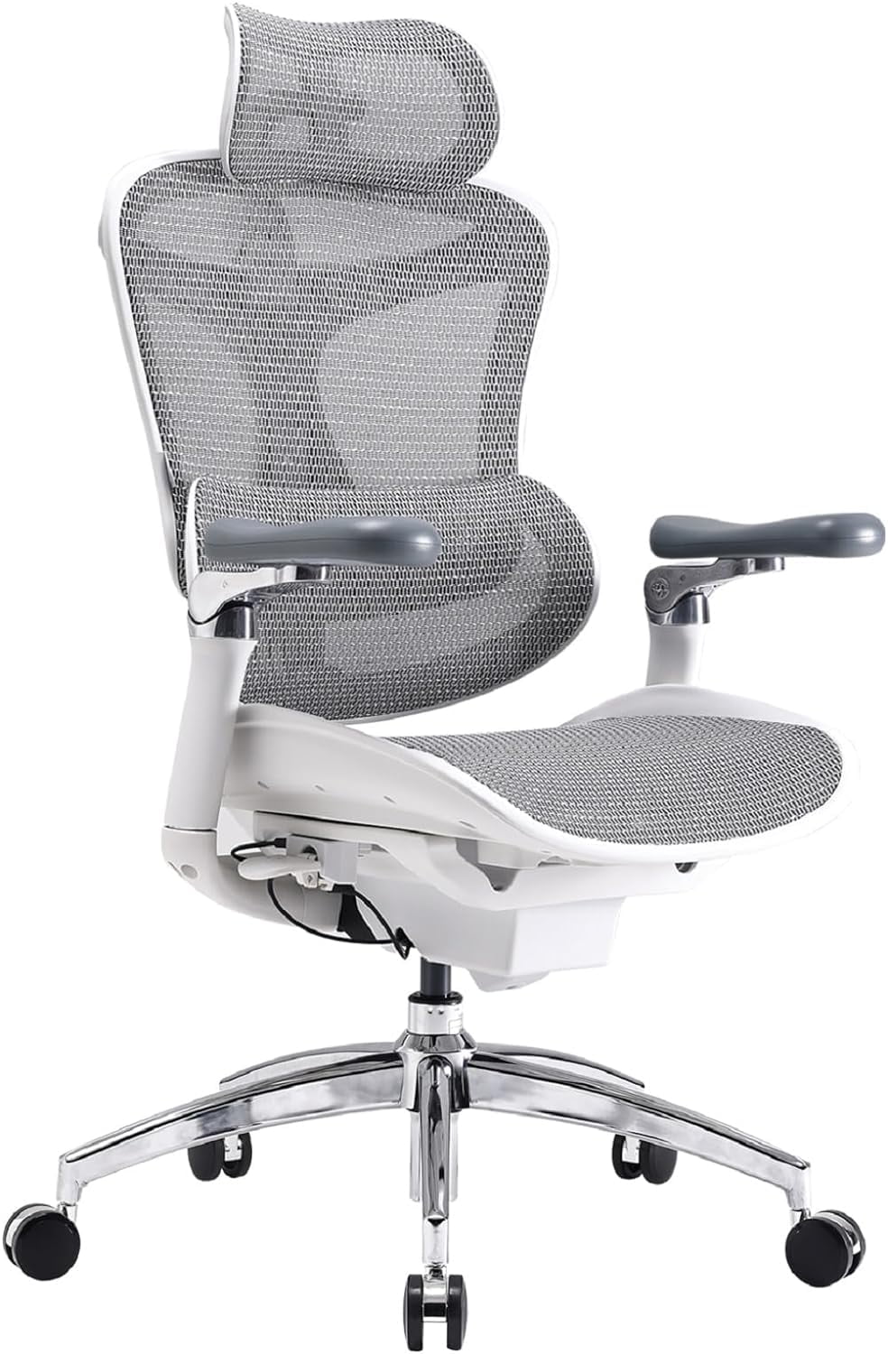 SIHOO Doro C300 PRO Ergonomic Chair Dual Seat Back Support Home Office ...