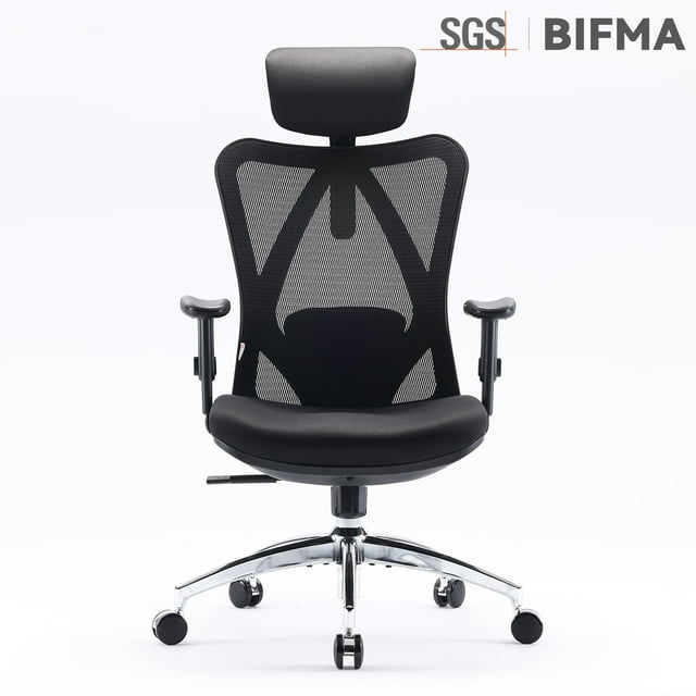 SIHOO M18 Ergonomic Office Chair, Adjustable Support, High-Resilience ...