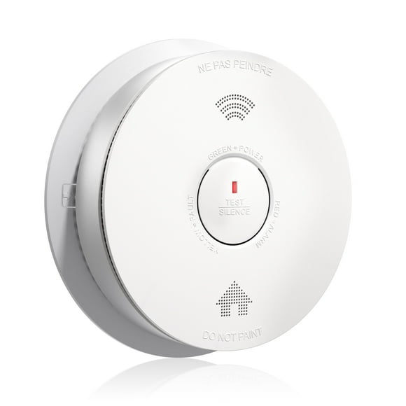Portable Carbon Monoxide And Smoke Detector Travel
