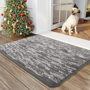 Indoor/outdoor Entryway Rugs