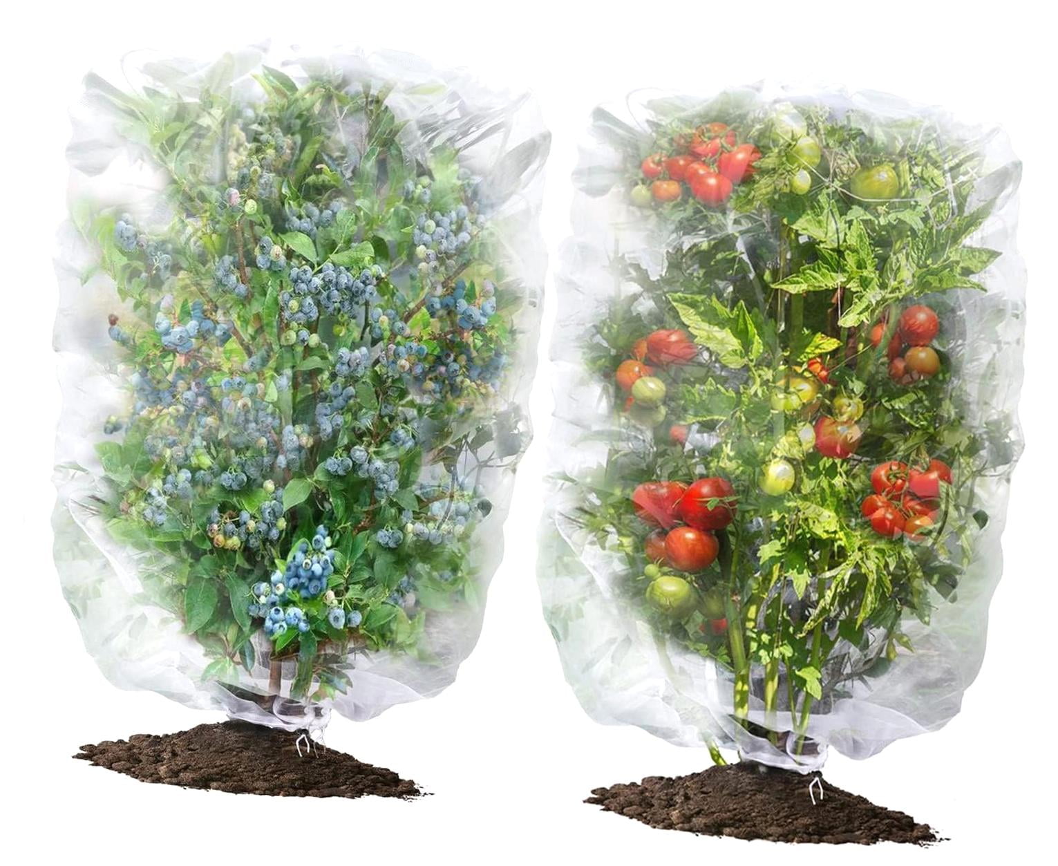 SJJ 2 Pieces Fruit Tree Netting with Drawstring, Garden Netting for ...