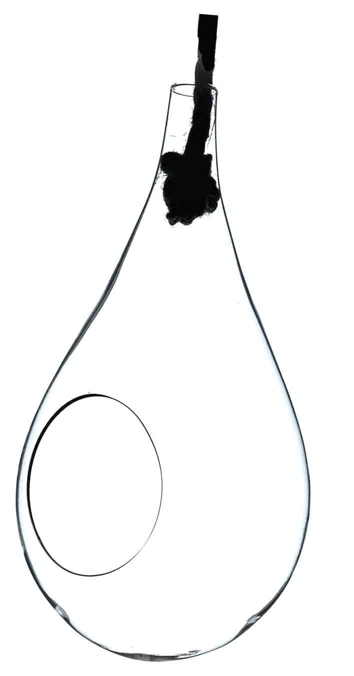 SJJ WGV Hanging Planter Terrarium, Width 6", Height 11", DIY Clear ...