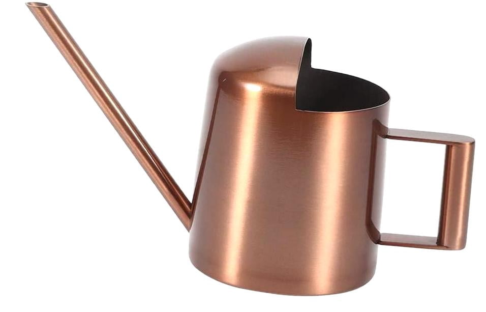 SJJ Watering Can, 10oz/300ml Indoor Plants Watering Pot Steel Small Jug ...