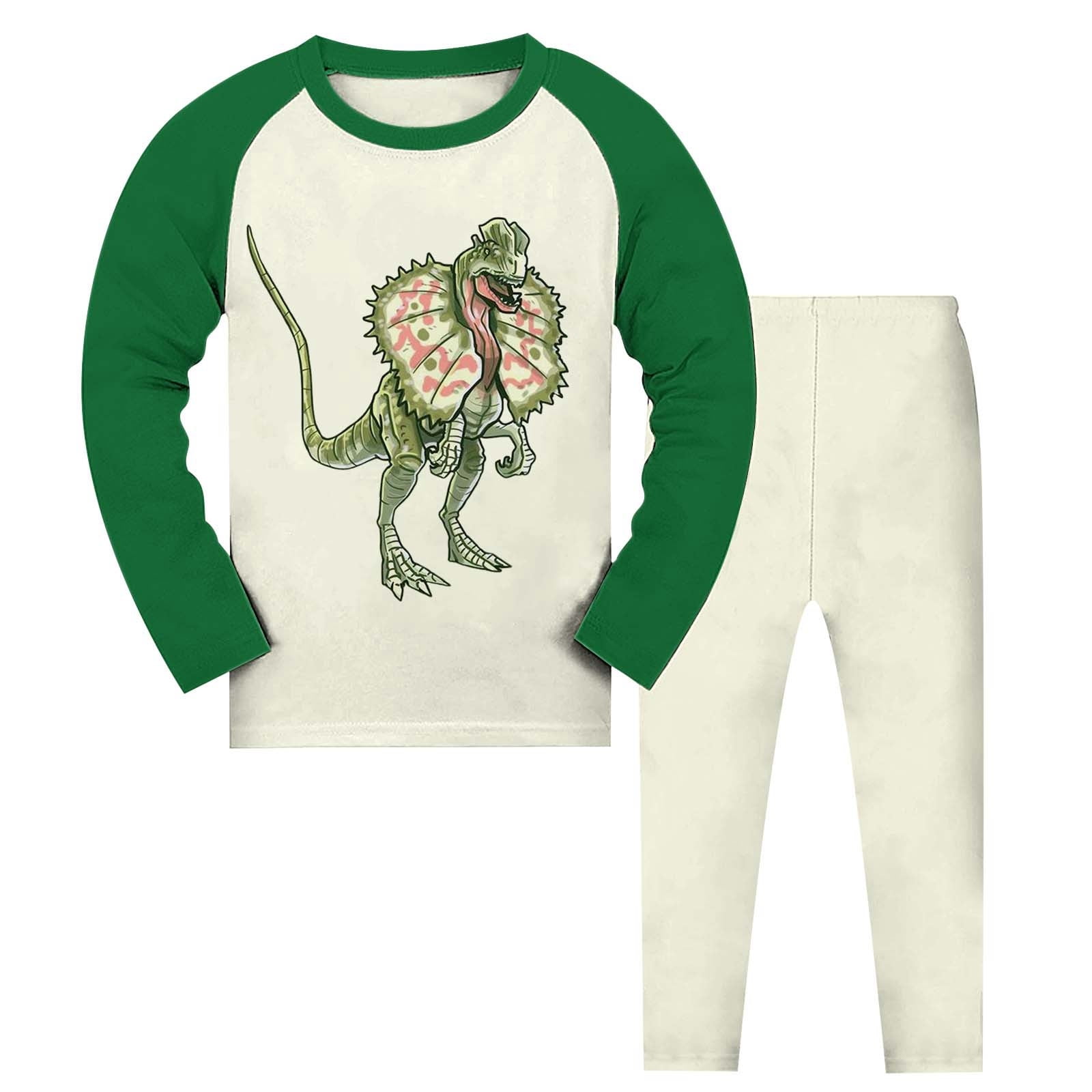 SJLDQY Toddler Baby Boy Pajama Set Long Sleeve Pajamas Pants Pjs Cartoon Dinosaur Print 2Pcs ...