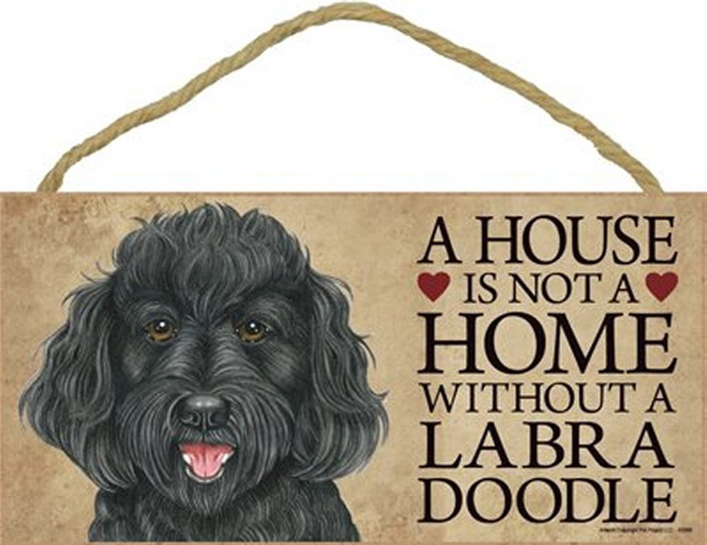 SJT / PCSCP Labradoodle A House is not a Home Without an Labradoodle ...