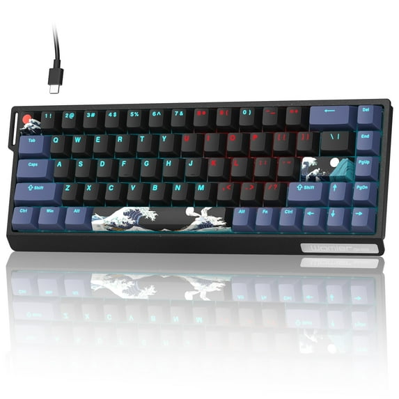 SK68 65% Gaming Keyboard, Wired Backlit Mini Keyboard w/100% Hot-Swap ...
