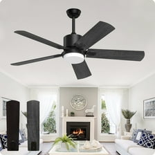 Lucci Air 21065501 Lucci Air Bali 52' DC Ceiling Fan with Light in Oil ...