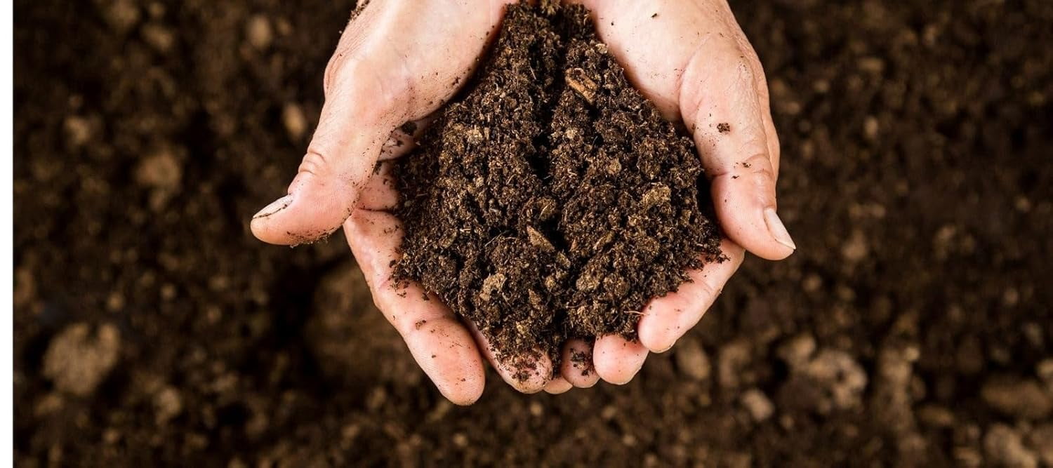 SKGs Store Kitchen Waste Decomposer All in one Bio decomposer Kitchen ...