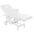 SKINACT Cosmo Fully Electric Treatment Table, Facial Bed, Massage Table ...