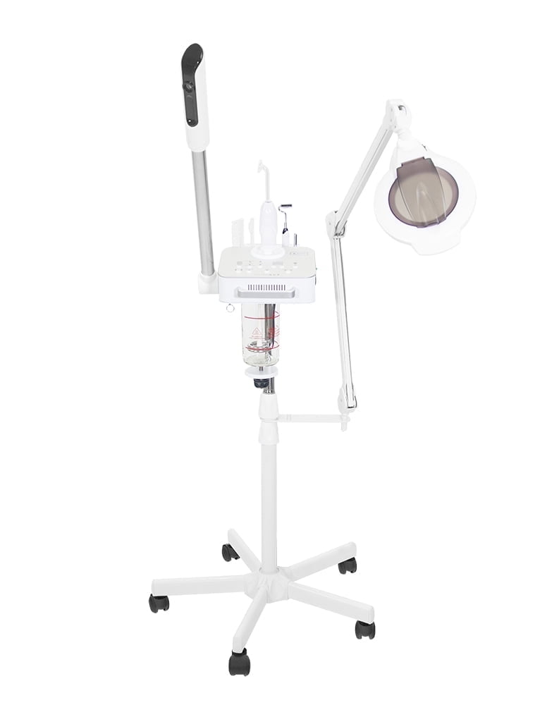 Quad 4 in 1 Professional Steamer with Magnifying LED Light, High ...