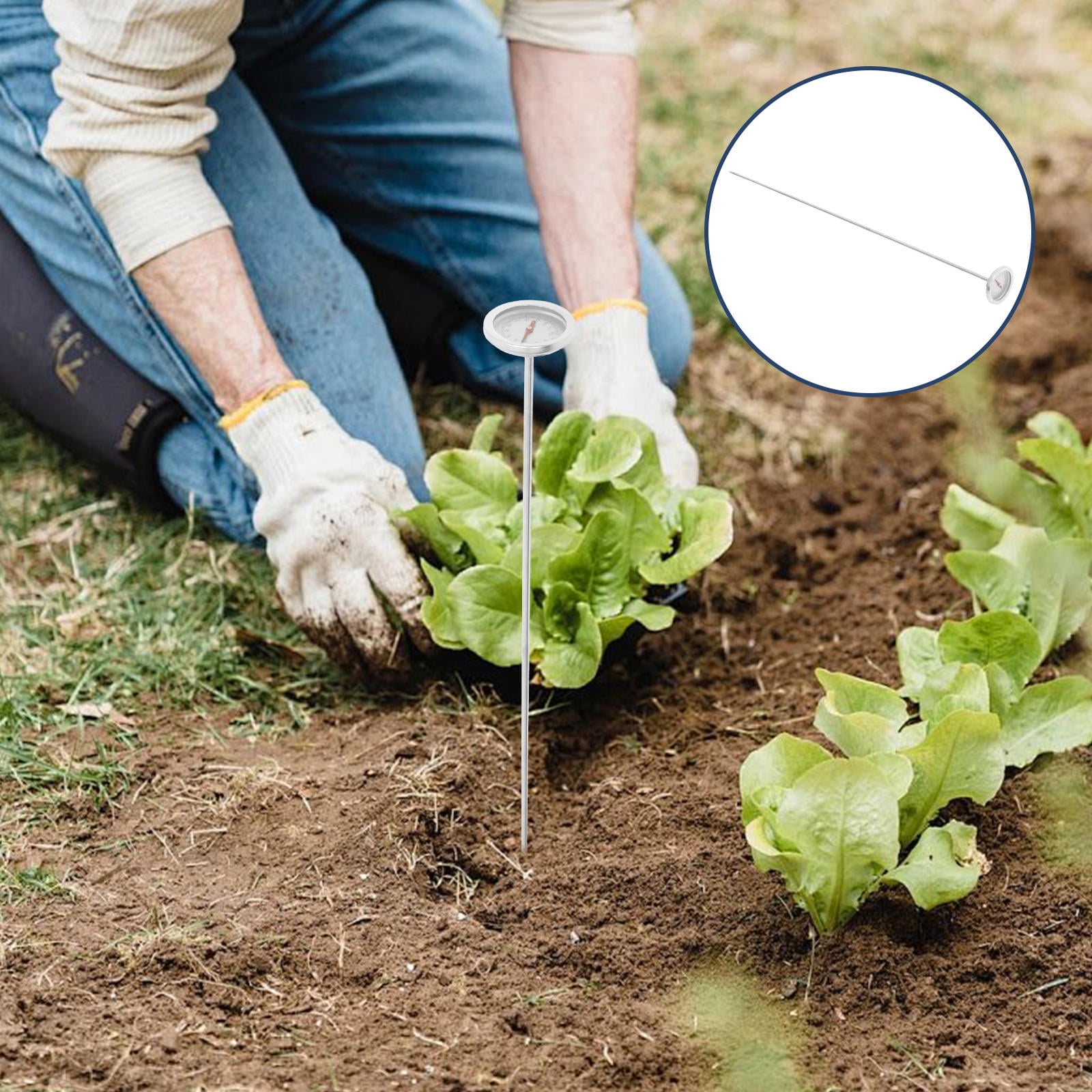 SKISUNO 1Pcs Soil Thermometer for Lawn and Composting in Stainless Steel with Long Stem ...