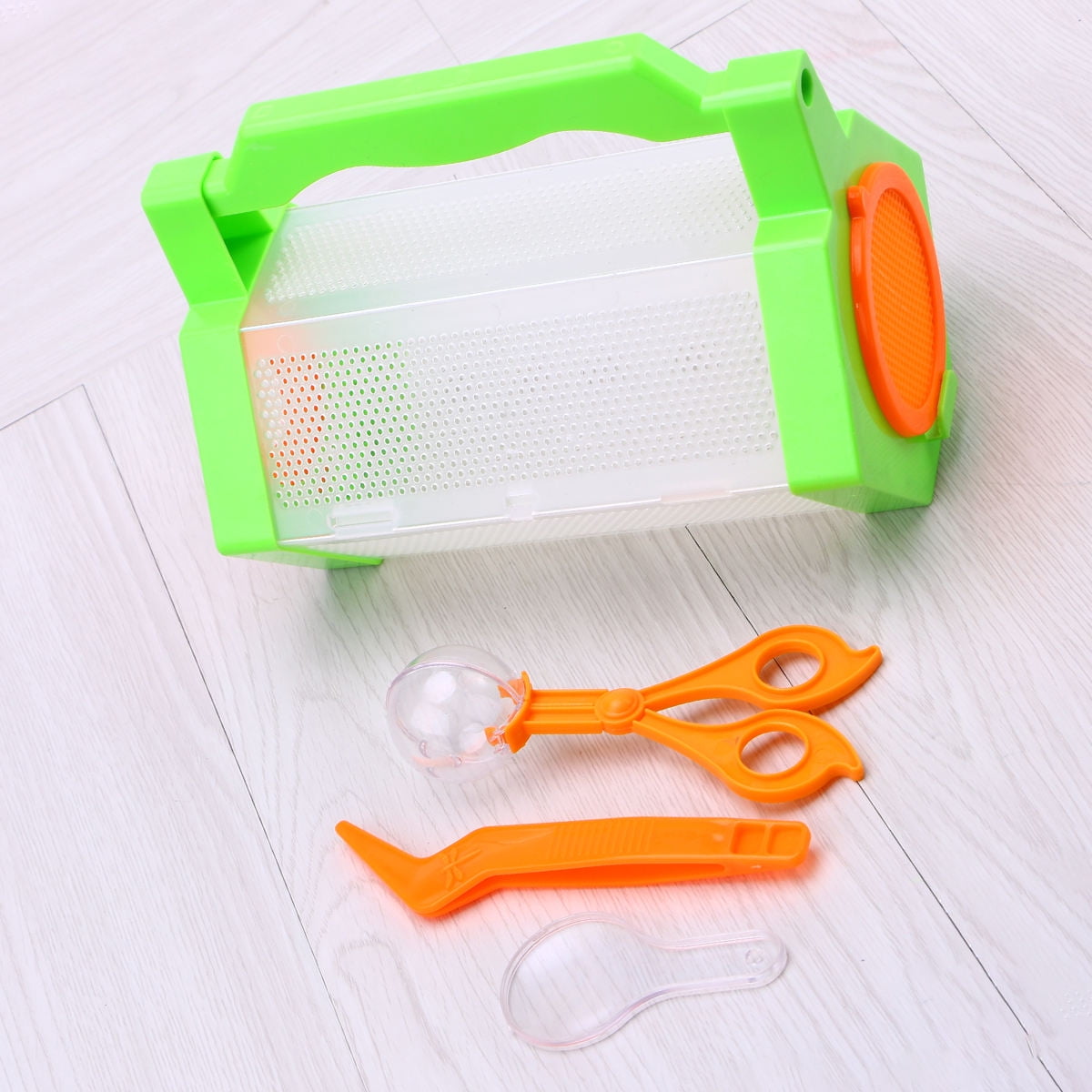 SKISUNO 1Set Childrens Insect Viewer for Kids Nature Exploration Toys ...