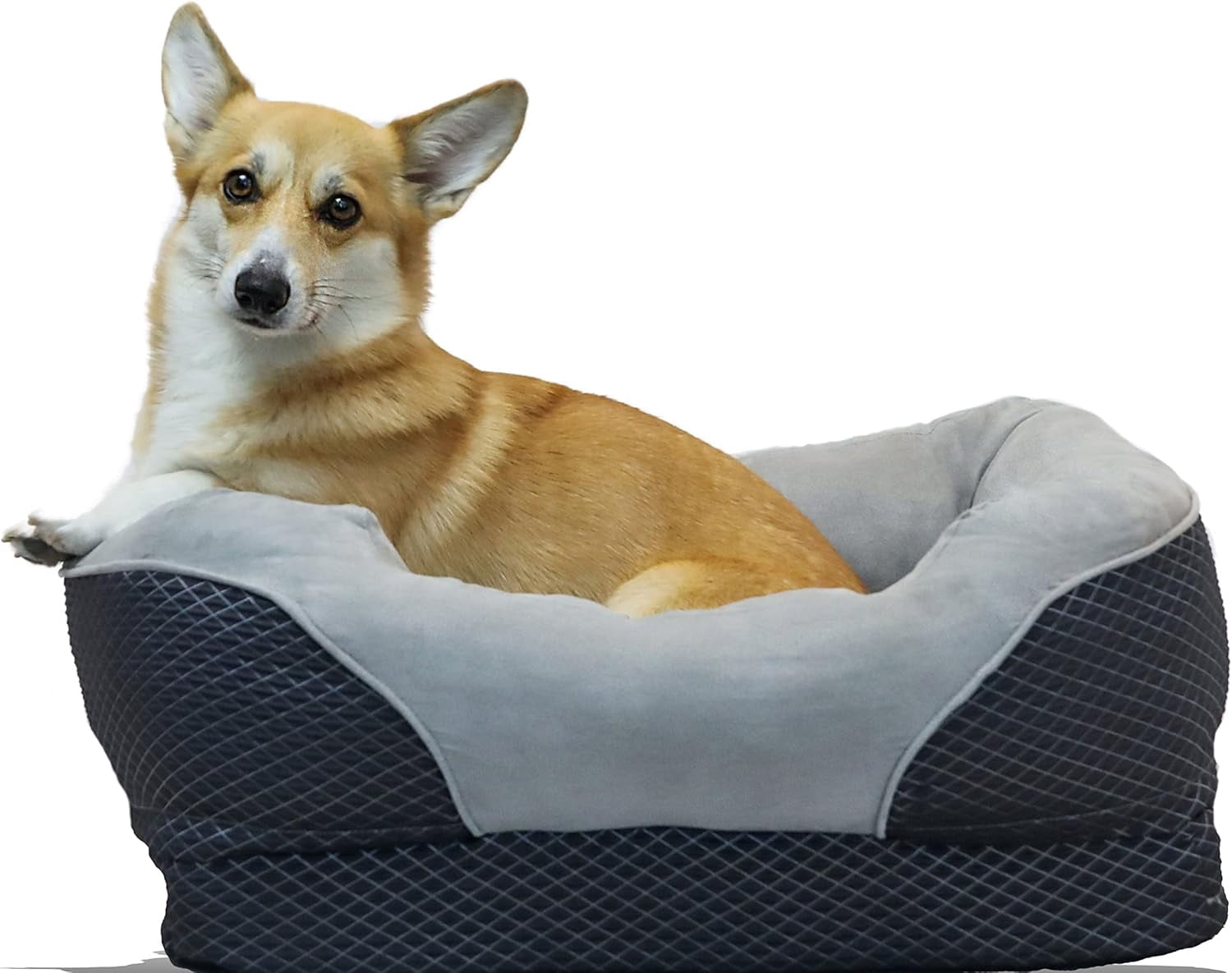 SKPYX Snuggly Sleeper Large Gray Diamond Orthopedic Dog Bed with Solid ...