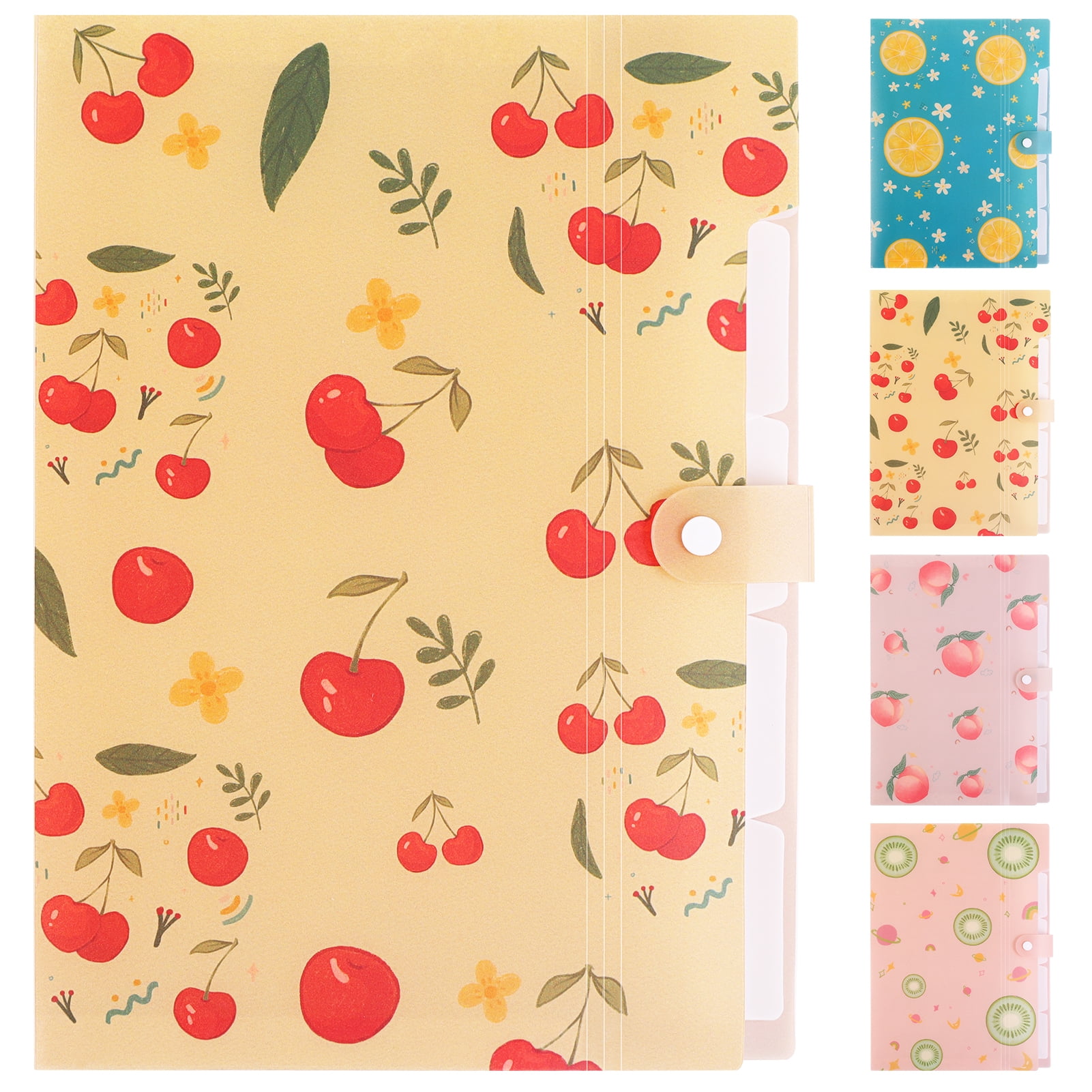 SKYDUE Expanding File Folder Organizer for Storaging Important Papers ...