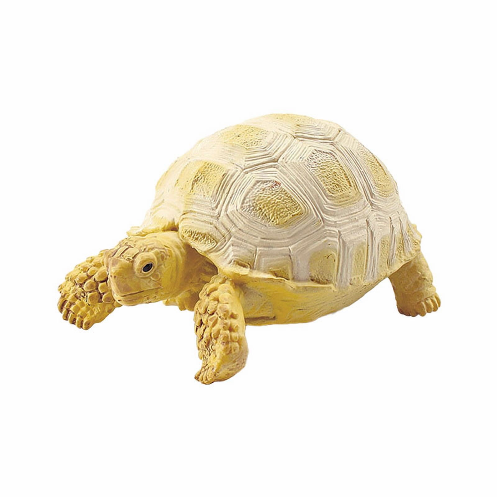 SKYESHEALLY Turtle Animal Toys Miniature Figures Unique Turtle Toys ...