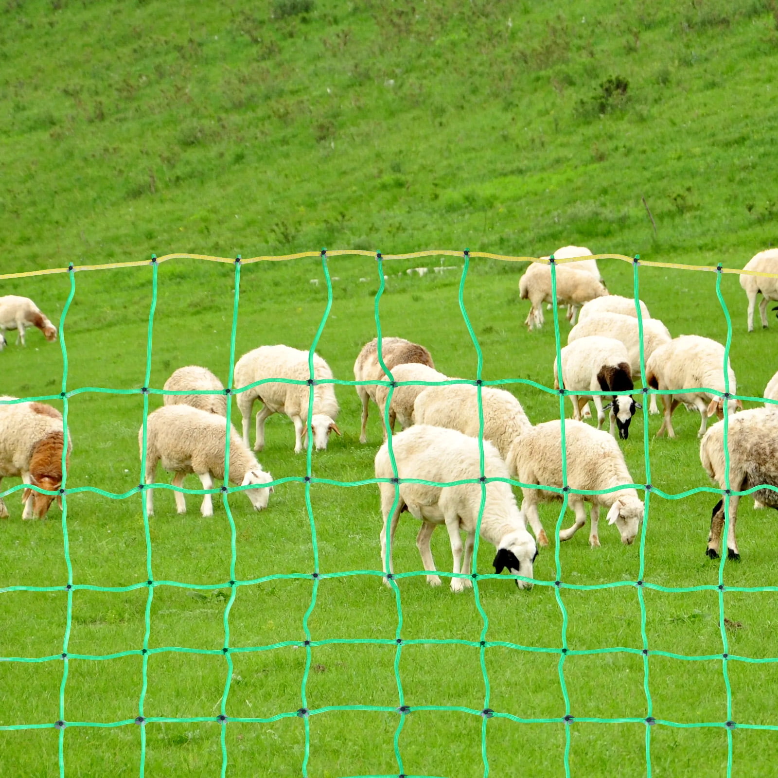 Sheep & Goat Fencing